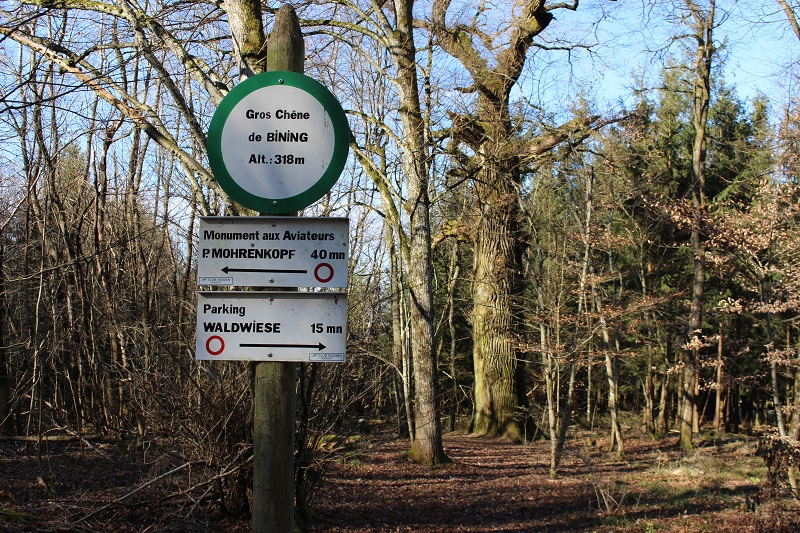 Parcours permanents Parcours Permanent de BINING de BINING (57)